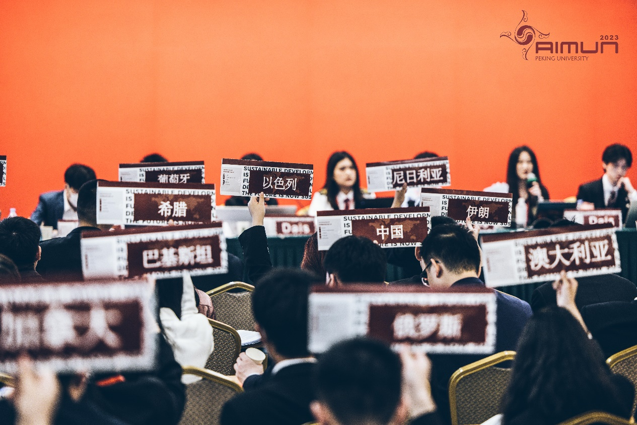 NMU | 模拟联合国